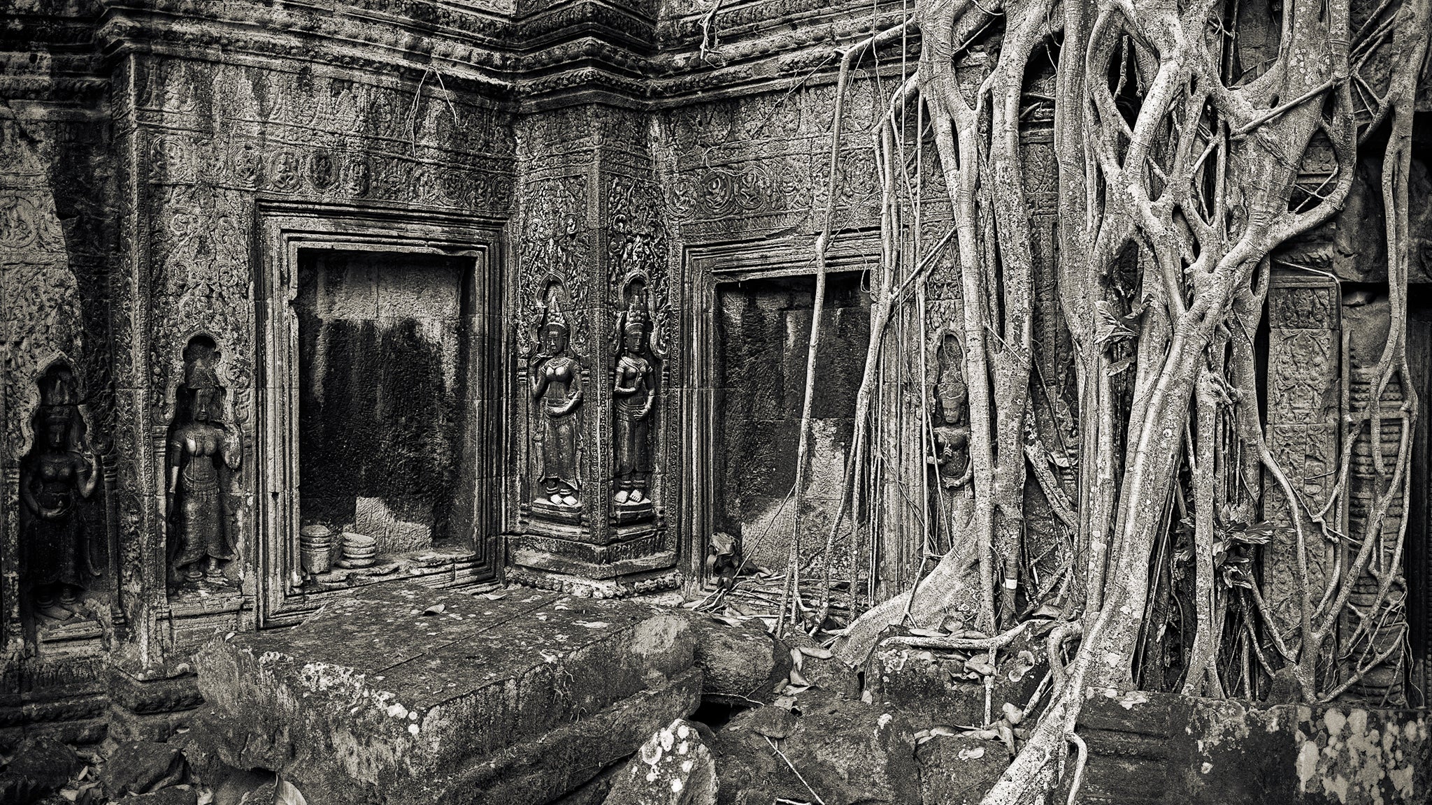 inside ta prohm temple